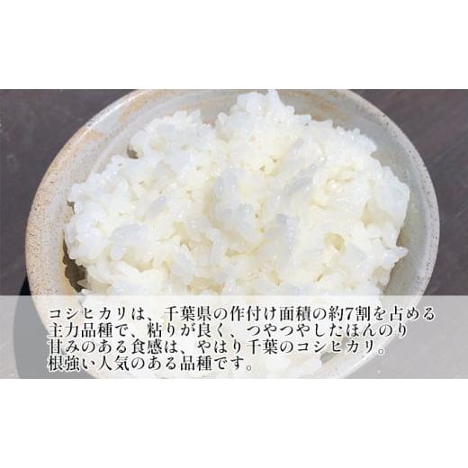 ふるさと納税 米 コシヒカリ 千葉県 千葉市 コシヒカリ 乾式無洗米 10kg（5kg×2）令和6年産 No.5346-0385 : 5864916 : ふるさとチョイス - 通販 ...