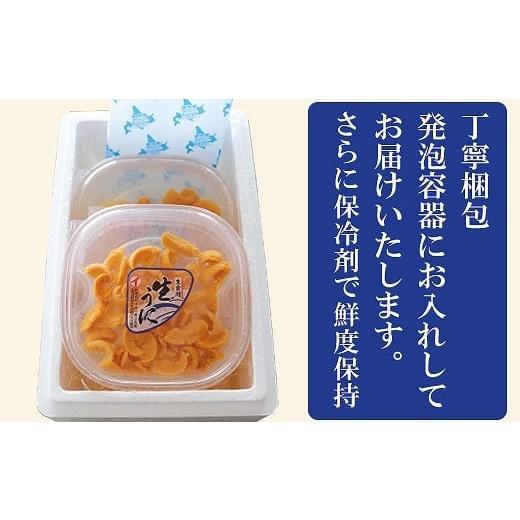 ふるさと納税 ウニ 北海道 根室市 B-53014 エゾバフンウニ塩水パック70g×2P 2025年2月上旬以降発送 : 5867854 : ふるさとチョイス - 通販 - Yahoo!ショッピング