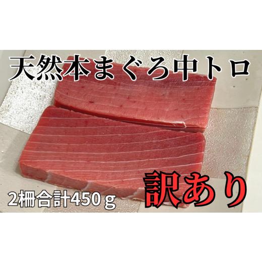 ふるさと納税 マグロ 神奈川県 三浦市 天然本鮪 中トロサク（訳アリ）2柵 M081-004-03 : ふるさとチョイス - 通販 - Yahoo!ショッピング