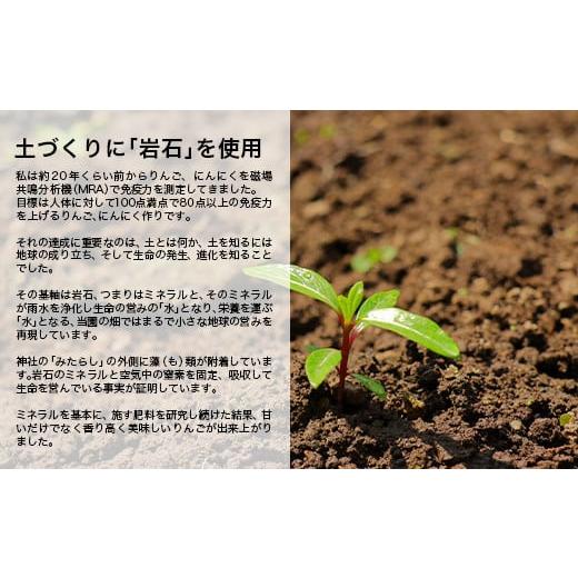 ふるさと納税 温泉 青森県 南部町 有機JAS認証 りんご はるか 約3kg 和楽堂りんご養生農苑 青森りんご リンゴ 林檎 アップル あおもり 青森 三… : ふるさとチョイス - 通販 ...