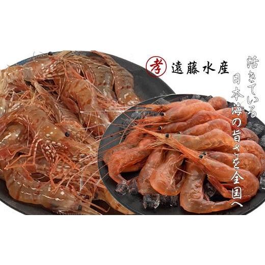 ふるさと納税 エビ あまエビ 北海道 増毛町 7-018-007 甘えび・ボタンエビセット 各500g : ふるさとチョイス - 通販 - Yahoo!ショッピング