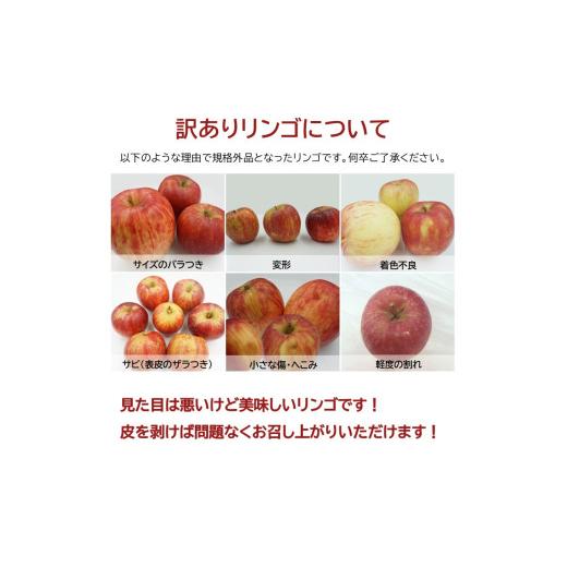 ふるさと納税 りんご 山形県 長井市 2025年11月〜12月発送 ご家庭用訳ありリンゴ（サンふじ）約10kg_H085(R7) 2025年11月〜12月発送分 ご家庭用訳ありリンゴ ...
