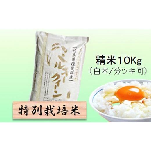 ふるさと納税 米 ミルキークイーン 岐阜県 池田町 特別栽培米 精米10kg（白米／5分／7分ツキ可） ミルキークイーン 玄米は別に出品 白米 No.5644-7087 1377 ...