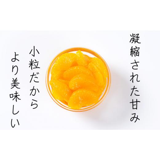 ふるさと納税 果物類 みかん 和歌山県 紀美野町 先行予約 温州みかん 「小粒っこ」 5kg (極早生・早生・中生・晩稲) 2S〜3Sサイズおまかせ 2024年10月中旬〜2 ...