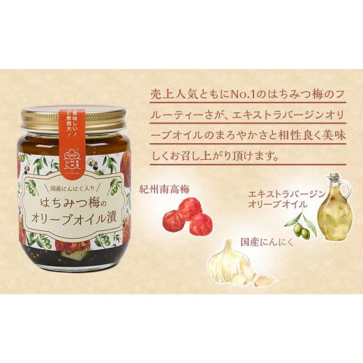 ふるさと納税 加工品等 梅干 和歌山県 白浜町 はちみつ梅のオリーブオイル漬け 国産にんにく入220g 2個 紀州梅本舗 : ふるさとチョイス - 通販 - Yahoo!ショッピング