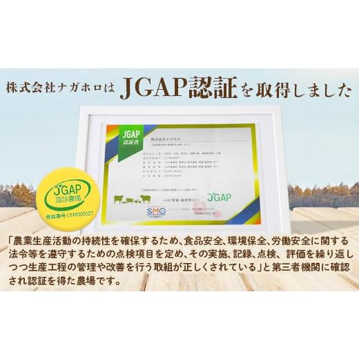 ふるさと納税 北海道 中標津町 なかしべつ牛乳プレミアム NA2 ミルク 1L×12本 a2 牛乳 日本 a2ミルク a2牛乳 トレンド ヒット予測 ベスト10 SDGs JGAP 認証 ...