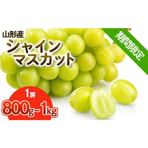 ふるさと納税 ぶどう マスカット 山形県 山形市 期間限定 希少 冬の大粒大房のシャインマスカット 秀品 1房(800g〜1kg) FY25-904 : ふるさとチョイス - 通販 ...