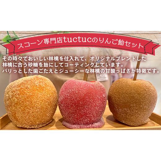 ふるさと納税 高知県 香南市 tuctuc りんご飴 3種類から選べる3本セット - キャンディーシュガー レモンティーシュガー シナモンシュガー アップル 林檎 あめ … :5964328 ...