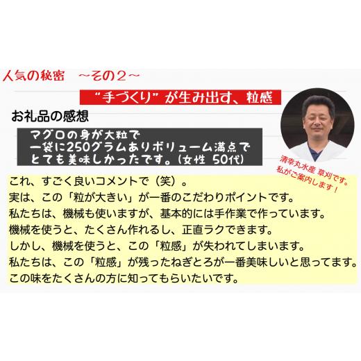 ふるさと納税 マグロ 千葉県 君津市 定期便・12ヶ月 清幸丸水産 大人気 ねぎとろ（250g×5袋）1250g | ネギトロ とろ 鮪 海鮮 魚介 魚 人気 小分け 定番… : ふるさと ...