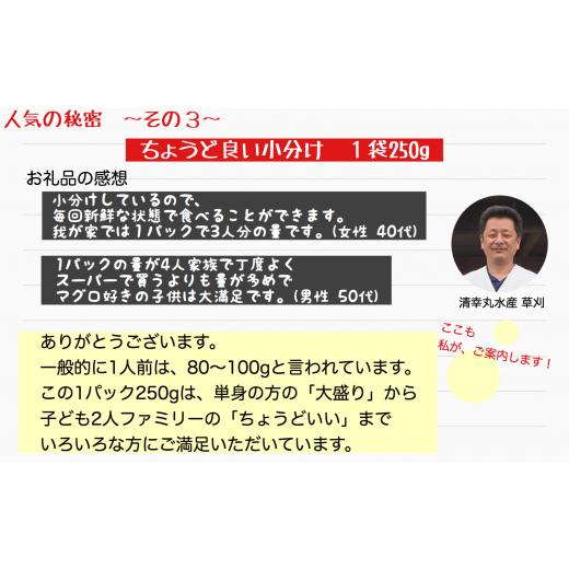 ふるさと納税 マグロ 千葉県 君津市 定期便・12ヶ月 清幸丸水産 大人気 ねぎとろ（250g×5袋）1250g | ネギトロ とろ 鮪 海鮮 魚介 魚 人気 小分け 定番… : ふるさと ...