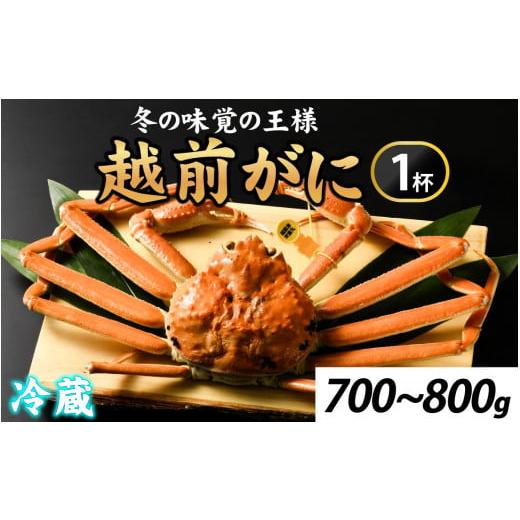 ふるさと納税 カニ 福井県 福井市 先行予約冬の王者 茹で越前がに700-800g 1杯 11月中旬より順次発送、年末年始対応不可 I ...
