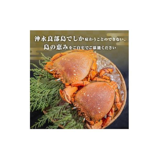 ふるさと納税 沖永良部島直送！素潜り漁師オススメの冷凍アサヒガニ2キロ（4〜8杯） W030-008u : 5977102 : ふるさとチョイス - 通販 - Yahoo!ショッピング