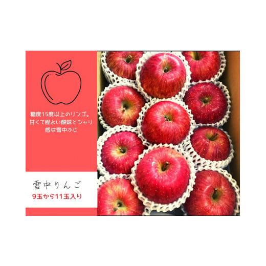 ふるさと納税 りんご 秋田県 湯沢市 雪中貯蔵 ふじ 3kg 高糖度 B2-9904 : ふるさとチョイス - 通販 - Yahoo!ショッピング
