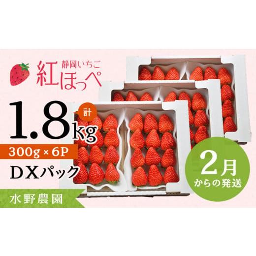 ふるさと納税 いちご 静岡県 掛川市 6280 (2)2月からの発送 掛川産完熟いちご 紅ほっぺ 280g×6P 1.68kg (1p：8〜15粒入) 発送時期をお選び下さい ...