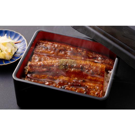 ふるさと納税 BSR-325 【通年受付】 数量限定! 鹿児島県産 特大サイズうなぎ蒲焼 3尾 合計558g以上 【通年受付】 : 5993287 : ふるさとチョイス - 通販 ...