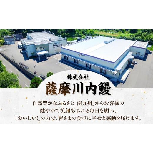 ふるさと納税 うなぎ 鹿児島県 薩摩川内市 BSR-325 通年受付 数量限定 鹿児島県産 特大サイズうなぎ蒲焼 3尾 合計558g以上 : ふるさとチョイス - 通販 - Yahoo!ショッピング