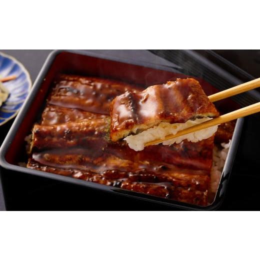 ふるさと納税 BSR-325 【通年受付】 数量限定! 鹿児島県産 特大サイズうなぎ蒲焼 3尾 合計558g以上 【通年受付】 : 5993287 : ふるさとチョイス - 通販 ...