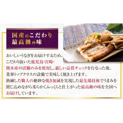 ふるさと納税 うなぎ 鹿児島県 薩摩川内市 BSR-325 通年受付 数量限定 鹿児島県産 特大サイズうなぎ蒲焼 3尾 合計558g以上 : ふるさとチョイス - 通販 - Yahoo!ショッピング