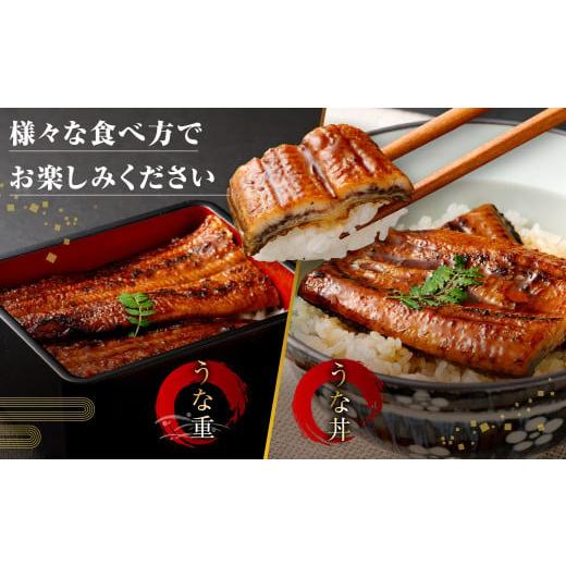 ふるさと納税 うなぎ 鹿児島県 薩摩川内市 BSR-325 通年受付 数量限定 鹿児島県産 特大サイズうなぎ蒲焼 3尾 合計558g以上 : ふるさとチョイス - 通販 - Yahoo!ショッピング