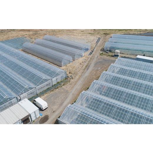 ふるさと納税 いちご 埼玉県 東松山市 先行予約 あまりん 2パック まなこころ・楓（280g 11〜15粒 ） ｜ アマリン イチゴ 苺 かえで 新鮮 中… : ふるさとチョイス - 通販 ...