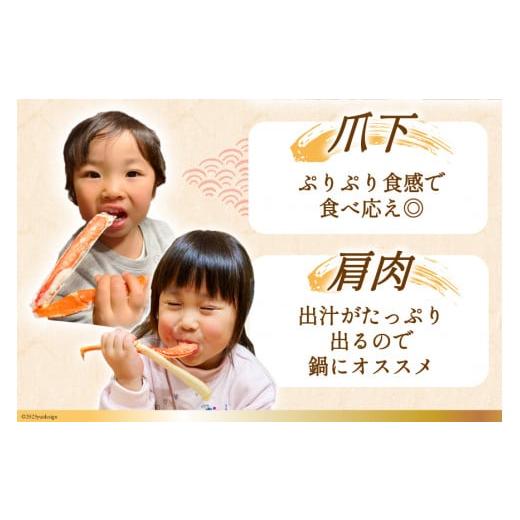 ふるさと納税 カニ ずわいガニ 宮城県 気仙沼市 年内配送 12／15まで受付 カット済 ずわいがに むき身セット 総重量1.5kg(750g×2p) かにしゃぶ かに鍋 正味 ...