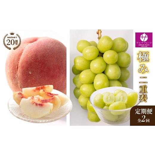 ふるさと納税 ぶどう マスカット 山梨県 笛吹市 25年発送 定期便：全2回 極み二重奏 季節ごとの最高品を産地直送 088-019 : ふるさとチョイス - 通販 - Yahoo!ショッピング