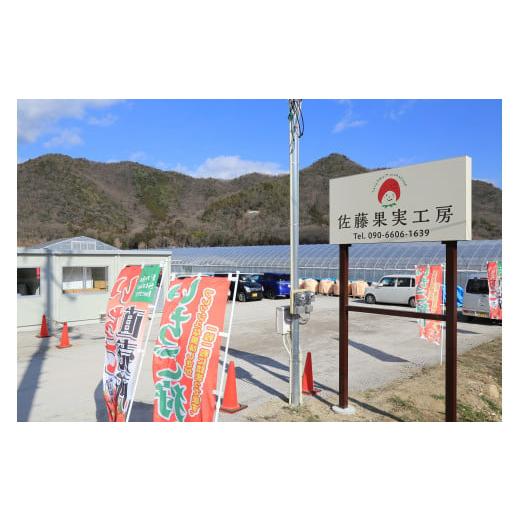 ふるさと納税 いちご 兵庫県 西脇市 《2026年産先行予約》「西脇市産 佐藤果実工房のよつぼし」（約270g×2パック 約540g） 佐藤果実工房 全国いちご選手権銀… : ふるさとチョイス ...