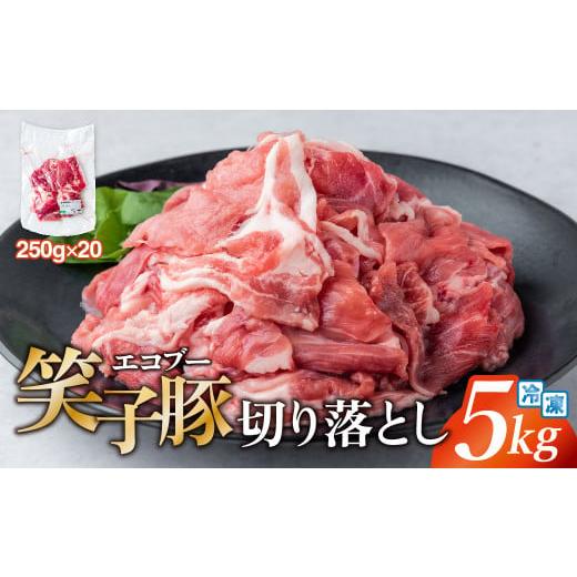 ふるさと納税 豚肉 炒め物 岩手県 金ケ崎町 切り落とし 小分け 5kg (250g×20) 真空パック 冷凍 笑子豚 5kg(250g×20P) : ふるさとチョイス - 通販 ...