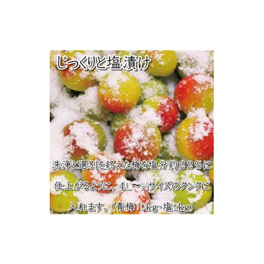 ふるさと納税 加工品等 梅干 和歌山県 印南町 いなみの里梅園 優梅1kg 塩分約10% 和歌山産 紀州南高梅 印南町 MN6 : ふるさとチョイス - 通販 - Yahoo!ショッピング