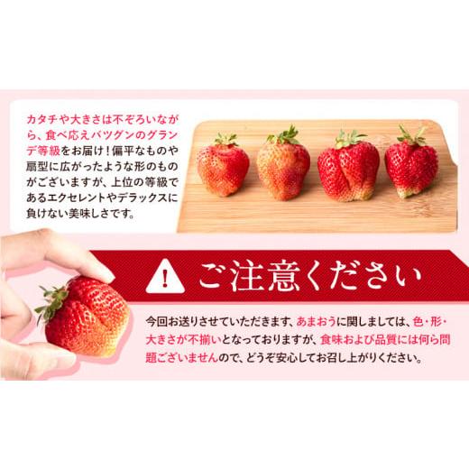ふるさと納税 いちご 福岡県 鞍手町 2026年出荷分 先行予約 あまおう 大容量産あまおう 1620g 着日指定不可 《2月中旬-4月末頃出荷》 : ふるさとチョイス - 通販 ...