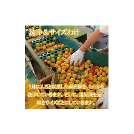 ふるさと納税 加工品等 梅干 和歌山県 印南町 いなみの里梅園 紀州南高梅 はちみつ梅1.5kg 塩分約8％ 農林水産大臣賞受賞 印南町 MN2 : 6037783 : ふるさとチョイス ...