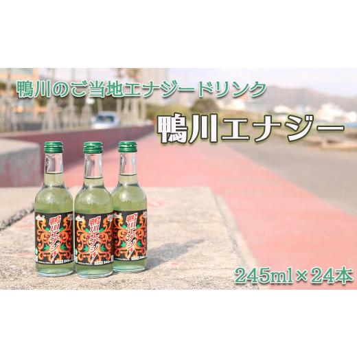 ふるさと納税 炭酸飲料 千葉県 鴨川市 鴨川のご当地ドリンク 鴨川エナジー 245ml × 24本 0020-0081 : ふるさとチョイス ...