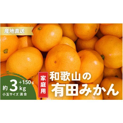 ふるさと納税 果物類 みかん 和歌山県 紀美野町 家庭用 有田みかん 和歌山 小玉(2S,3Sサイズ混合) 3kg +150g 10月上旬〜1月下旬頃に順次発送予定 ／ みかん フ ...