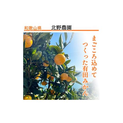 ふるさと納税 果物類 みかん 和歌山県 紀美野町 家庭用 有田みかん 和歌山 小玉(2S,3Sサイズ混合) 3kg +150g 10月上旬〜1月下旬頃に順次発送予定 ／ みかん フ ...