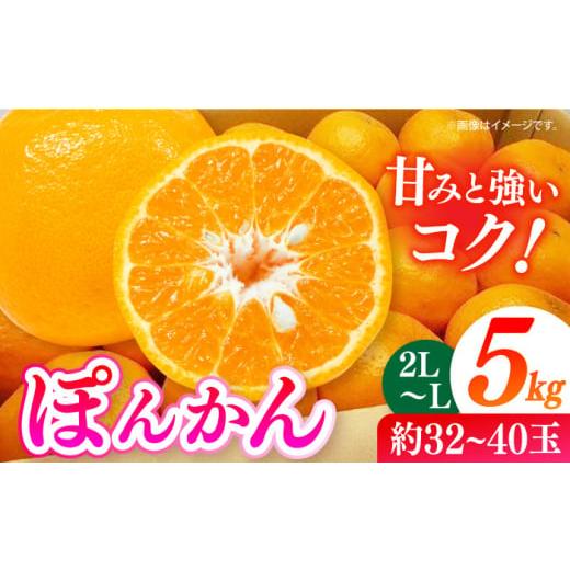 ふるさと納税 みかん・柑橘類 長崎県 - 先行予約 2月発送 長崎県産 ぽんかん 5kg(2L〜L・約32〜40玉) 長崎県／長崎果匠 42AABK008 : 6078076 : ふるさと ...