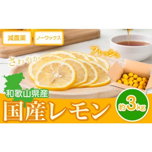 ふるさと納税 みかん・柑橘類 レモン 和歌山県 日高町 国産 3kg(L〜4Lサイズ) ノーワックス 減農薬 どの坂果樹園《2025年2月上旬-5月末頃出荷》… : ふるさとチョイス - 通販 ...