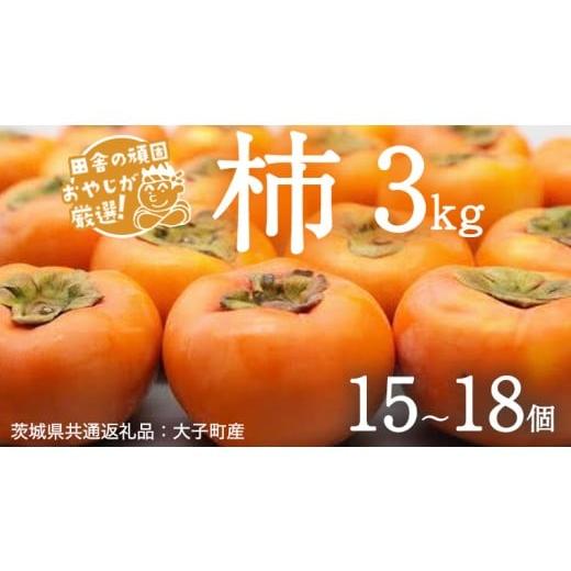 ふるさと納税 果物類 柿 茨城県 つくばみらい市 3kg（15〜18個） 2025年10月より発送開始 （茨城県共通返礼品：石岡市産）柿 かき カキ 果物 フルーツ 茨城… : ふるさと ...