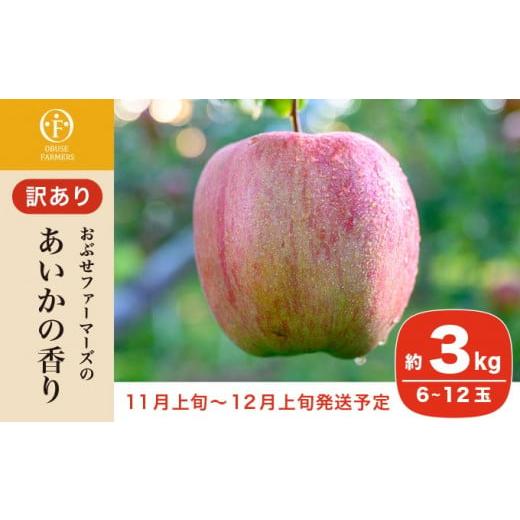 ふるさと納税 りんご 長野県 小布施町 訳あり あいかの香り 約3kg 6〜12玉 [おぶせファーマーズ] フルーツ 果物 林檎 リンゴ 長野県産 信州産 加工 傷 キズ… : ふるさと ...