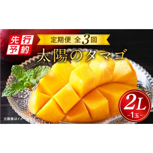 ふるさと納税 マンゴー 宮崎県 宮崎市 《2025年発送先行予約》 期間・数量限定 太陽のタマゴ2L1玉定期便 全3回_M153-T037 : 6133648 : ふるさとチョイス - 通販 ...
