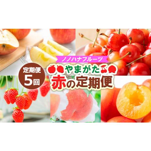 ふるさと納税 いちご 山形県 山形市 定期便5回 ノノハナフルーツ やまがた赤の定期便 FY25-812 : ふるさとチョイス - 通販 - Yahoo!ショッピング