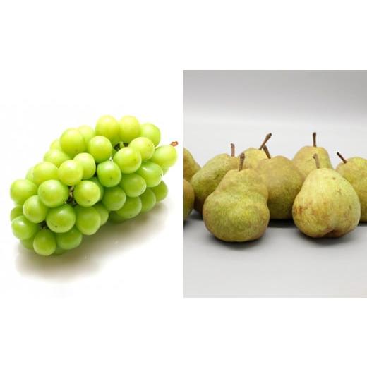 ふるさと納税 ぶどう マスカット 山形県 山形市 定期便6回 山形フルーツ デラックス定期便 FY25-825 : ふるさとチョイス - 通販 - Yahoo!ショッピング