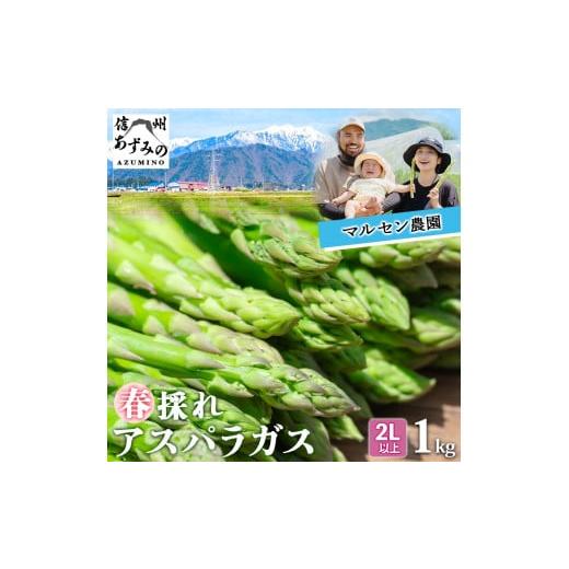 ふるさと納税 長野県 安曇野市 グリーンアスパラガス 1kg 【2Lサイズ】 ☆朝採れ直送☆ 〈期間限定!〉 6月受付開始 :6141949:ふるさとチョイス - 通販 - Yahoo!ショッピング