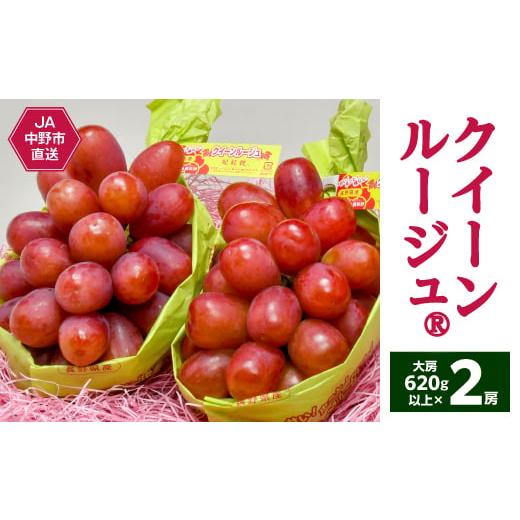 ふるさと納税 ぶどう 長野県 中野市 2025年発送 JA中野市産地直送 クイーンルージュ(R)大房620g以上×2房(1.2kg以上)_ブドウ 葡萄 フルーツ 果物 くだもの 人 ...