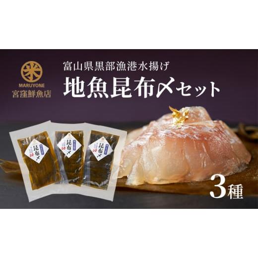 ふるさと納税 魚貝類 鯛 富山県 黒部市 No.5313-0487 黒部漁港 〈地魚昆布〆3種セット〉 産地直送 旬 魚介 魚 さかな 詰め合わせ 冷凍 ／富山県黒部市 : ふるさとチョイス ...