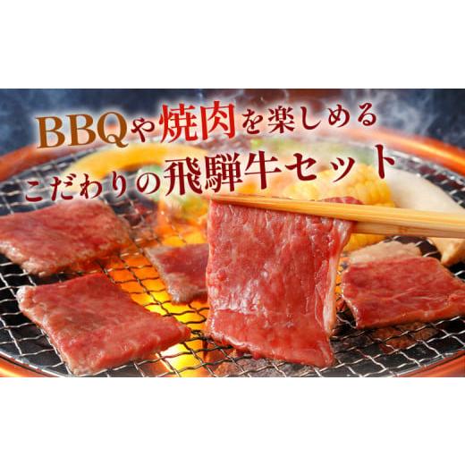 ふるさと納税 牛肉 焼肉・バーベキュー 岐阜県 東白川村 スピード発送 飛騨牛 BBQセット (カルビ300g＋もも・カタ焼肉用400g) 計700g A5 A4 国産 牛 冷凍 和 ...