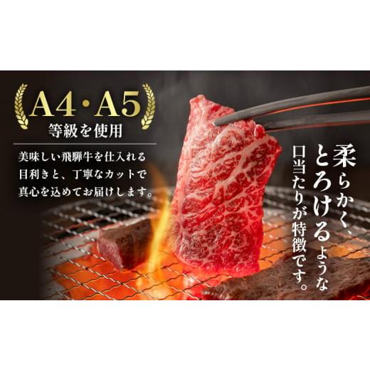 ふるさと納税 牛肉 焼肉・バーベキュー 岐阜県 東白川村 スピード発送 飛騨牛 BBQセット (カルビ300g＋もも・カタ焼肉用400g) 計700g A5 A4 国産 牛 冷凍 和 ...