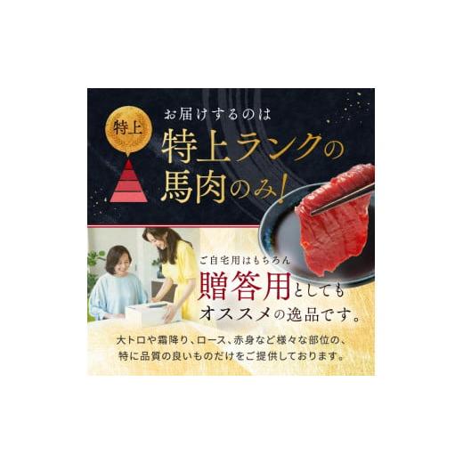 ふるさと納税 熊本県 玉名市 本場 熊本 馬刺し 豪華 5種盛り約500g（50g×10P）専用タレ付き | 馬肉 馬刺 赤身 霜降り フタエゴ 馬ひも コーネ 小分け :6166660 ...