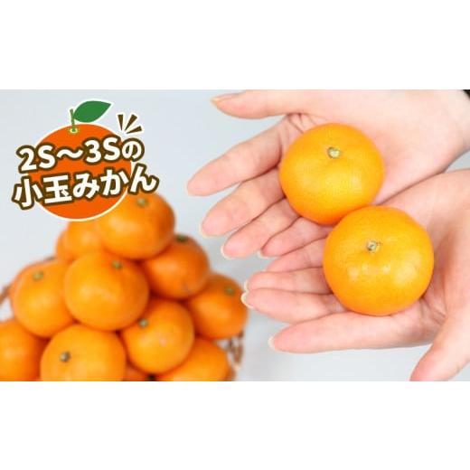 ふるさと納税 もも 愛媛県 宇和島市 訳あり 小玉みかん 南柑20号 10kg 2S 〜 3S サイズ不揃い 玉津みかん ニュービジネスユニット 中生 温州みかん 愛媛みかん… : ふるさと ...