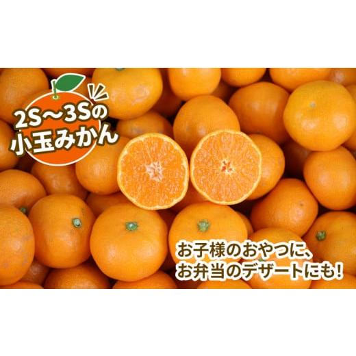 ふるさと納税 もも 愛媛県 宇和島市 訳あり 小玉みかん 南柑20号 10kg 2S 〜 3S サイズ不揃い 玉津みかん ニュービジネスユニット 中生 温州みかん 愛媛みかん… : ふるさと ...