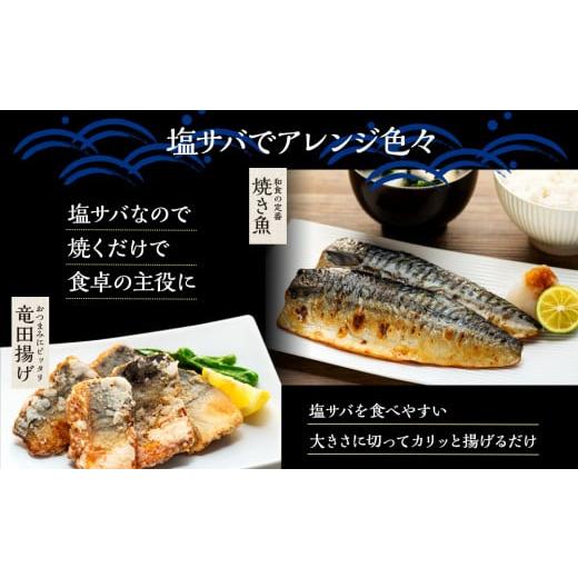 ふるさと納税 C01-B54 塩サバフィレ 3.5kg : 6174529 : ふるさとチョイス - 通販 - Yahoo!ショッピング